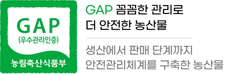 팔도감 - 특품만 엄선한 GAP 제주 햇 레드비트 3kg (4-6개)