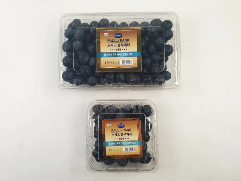 팔도감 - 16mm이상 선별 새콤달콤 칠레산 토파즈 블루베리 310g*2팩