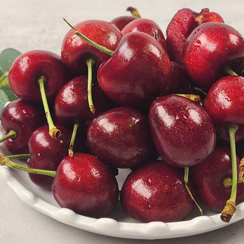 팔도감 - [시즌 마감 임박]큼직한 사이즈만 선별한 새콤달콤 워싱턴 체리(9.5R) 500g