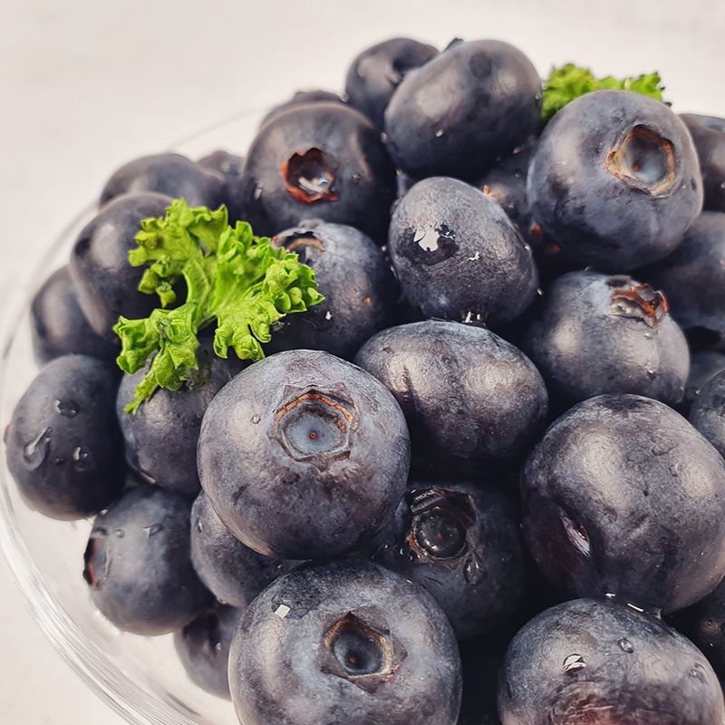 팔도감 - 16mm이상 선별 새콤달콤 칠레산 토파즈 블루베리 310g*2팩