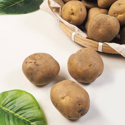 팔도감 - 쫀득쫀득한 강원도 조풍 감자 3kg(개당 80~100g)