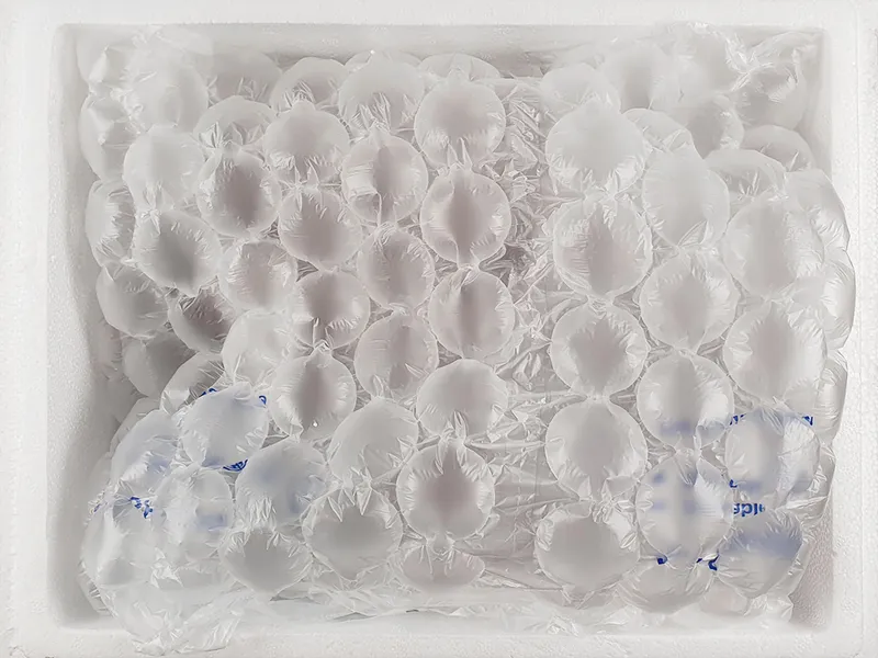 팔도감 - [시즌 마감 임박]큼직한 사이즈만 선별한 새콤달콤 워싱턴 체리(9.5R) 500g