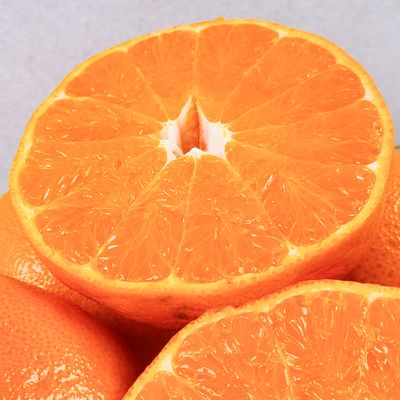 팔도감 - 달콤 상큼한 제주 천혜향 3kg(8~12입)