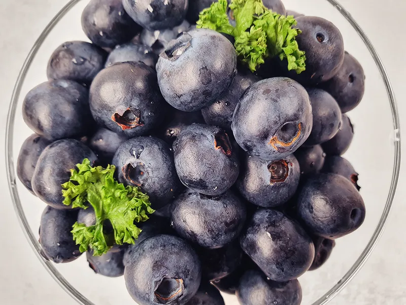 팔도감 - 16mm이상 선별 새콤달콤 칠레산 토파즈 블루베리 310g*2팩