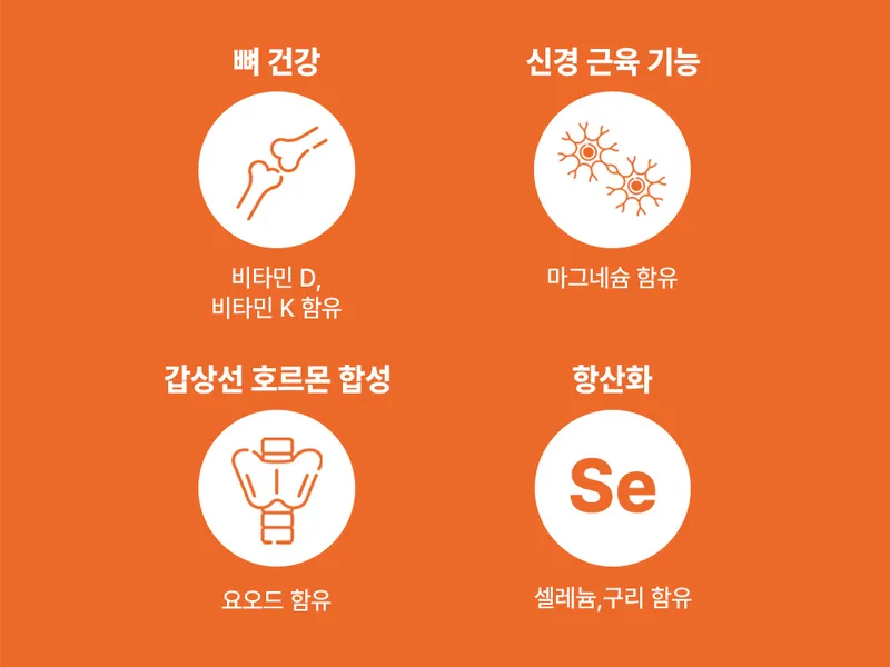 팔도감 온가족 올인원 멀티 영양제 비타민 루테인 오메가3 비오틴 엽산 함유 30포1박스
